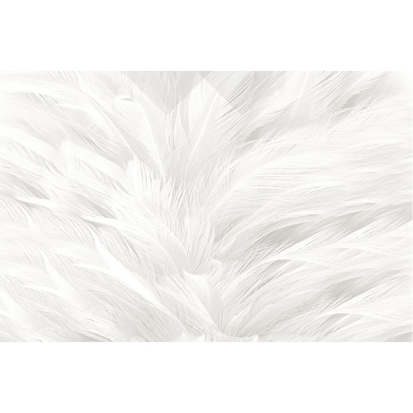 feather wallpaper grey