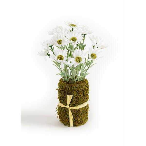 Floral Vase Insert (Set of 6) - Bed Bath & Beyond - 37546968