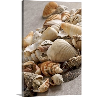 "Shellfish shells" Canvas Wall Art - Bed Bath & Beyond - 24264723