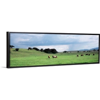"Arizona, San Rafael Valley, horses grazing" Black Float Frame Canvas ...