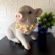 Solar Piglet Garden Light White Resin Flower Led Outdoor Figurine 7.5 ...