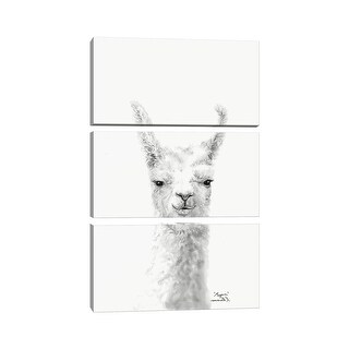 iCanvas "Megan" by Kristin Llamas 3-Piece Canvas Wall Art Set - Bed ...