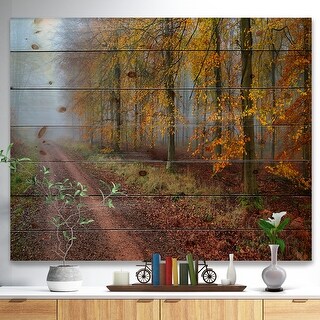 Designart 'Raising Sun In Fall Forest Panorama' Traditional Wood Wall ...