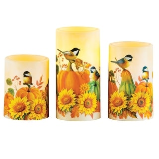 Harvest Chickadee LED Lighted Candles - Set of 3 - 10.750 x 7.350 x 4. ...