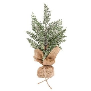 Snowy Mini Cedar Tree w/Burlap Base 11.5" - 11.5" high. - Bed Bath ...