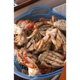 Dungeness Cooked Crab Queen Charlotte Islands Canada Poster Print By ...