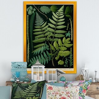 Designart "Fern On Retro Victorian Chart I" Floral Ferns Framed Art ...