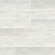Emser Tile Passion 3 in. x 8 in. Glossy Porcelain Wall Tile (3.92 sq ...