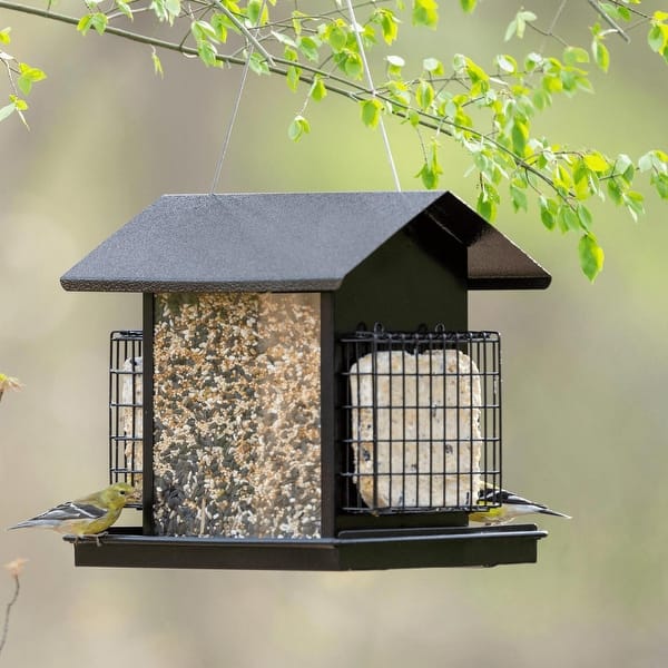 Large funnel bird feeder - Bed Bath & Beyond - 37531036