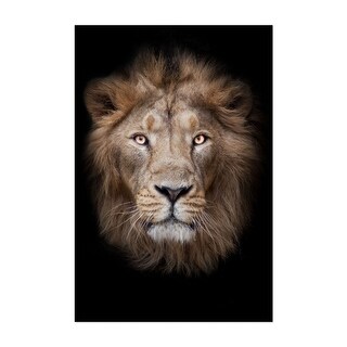 face of a lion male lion full screen black red Art Print/Poster - Bed ...