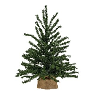 Pine Tree w/Burlap Base 2ft - Bed Bath & Beyond - 36949383