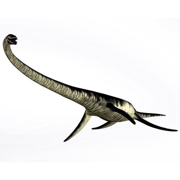 Elasmosaurus Was A Plesiosaur Marine Reptile That Lived During The ...