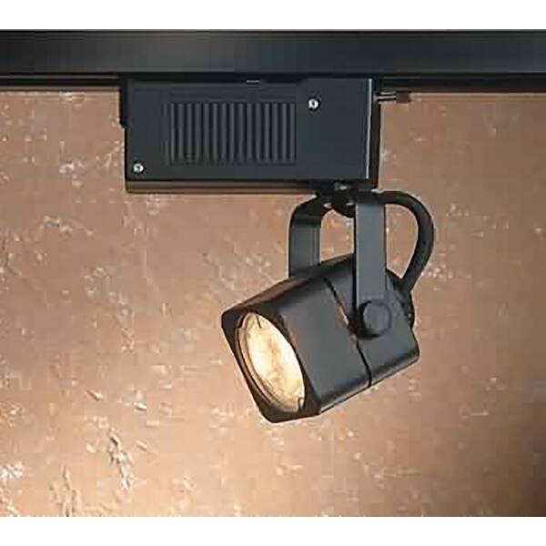 Track Lighting Black 4 Foot Track w/2 Light Set | Renovator's Supply ...