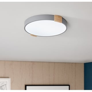 Modern Grey 1-Light Acrylic LED Flush Mount Lighting Fixture - Bed Bath ...