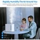 Ultrasonic cold fog humidifier - Bed Bath & Beyond - 37580111