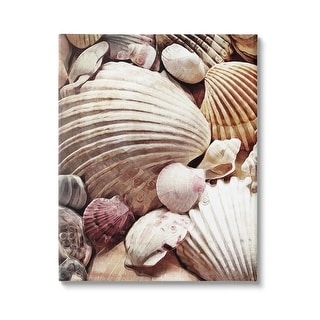 Stupell Various Nautical Clam Conch Shells Canvas Wall Art by Ashley ...