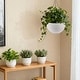 13.4 inch Self-Watering Hanging Rattan-Inspired Planter Large Capacity ...