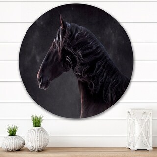 Designart 'Portrait of Andalusian Horse' Traditional Metal Circle Wall ...