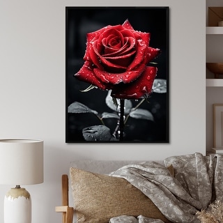 Designart "Red Black Rose Elegance II" Rose Framed Wall Art Prints ...