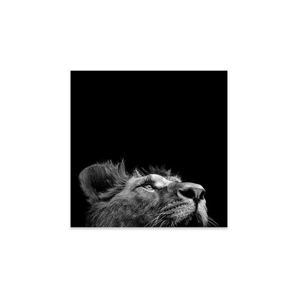 Lion In Black & White II Print On Acrylic Glass by Lukas Holas - Bed ...