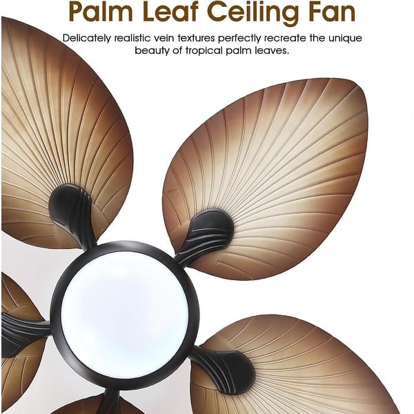 palm leaf fan