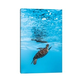 iCanvas "Underwater Little Turtle" by James Vodicka Canvas Print - Bed ...