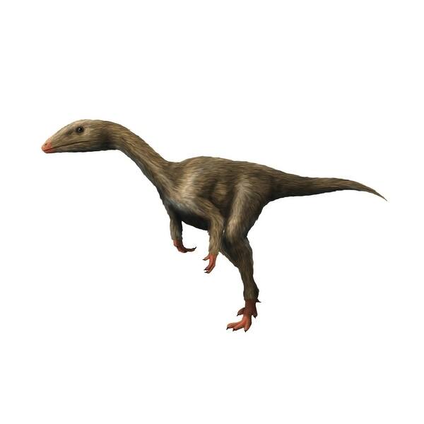 Dracoraptor Is A Carnivorous Theropod From The Early Jurassic Period ...