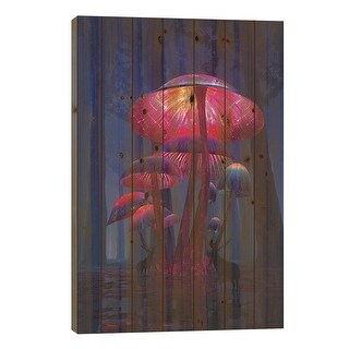 The Magic Shrooms Print On Wood by Davansh Atry - Multi-Color - Bed ...