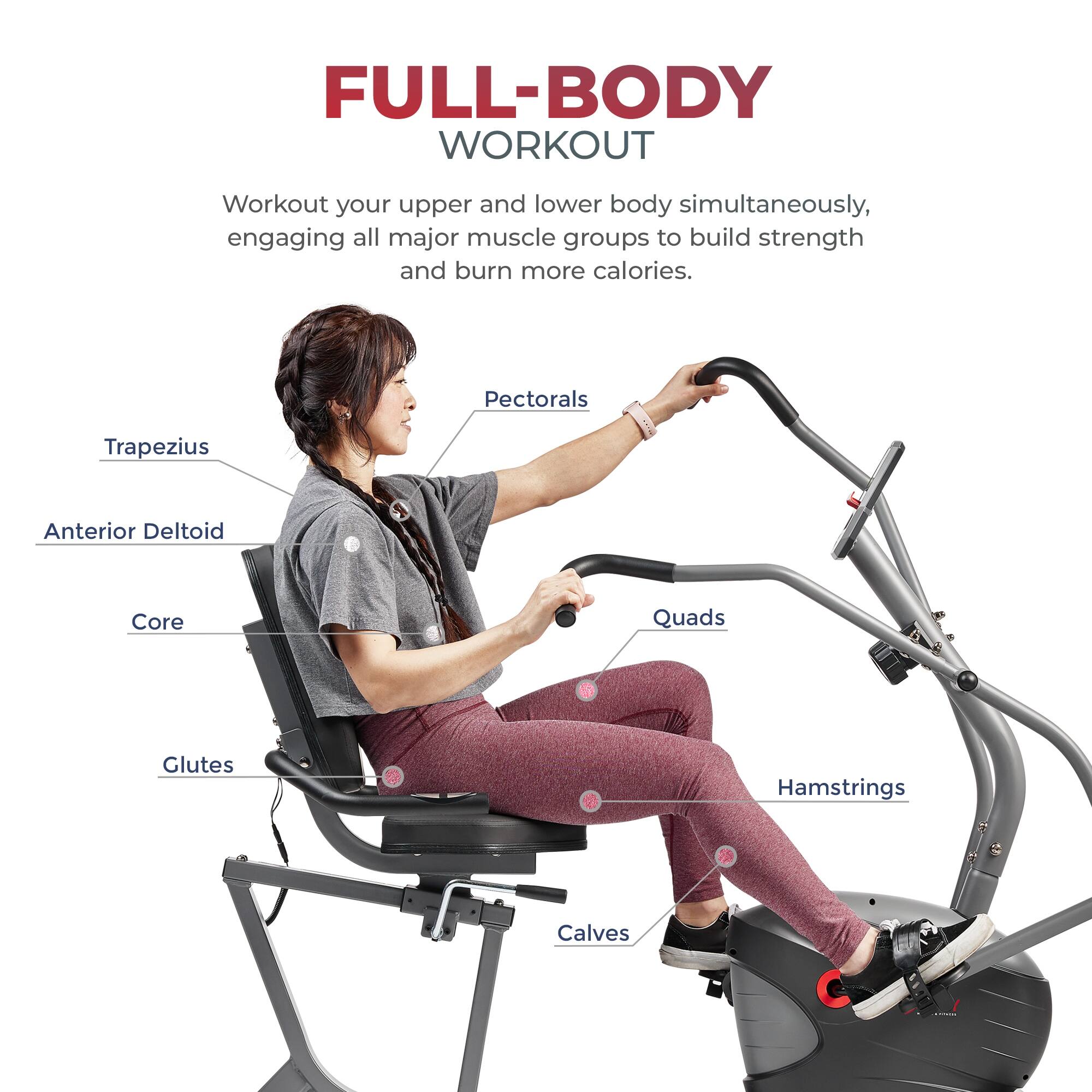 Sunny Health & Fitness Compact Performance Recumbent Bike with Dual ...