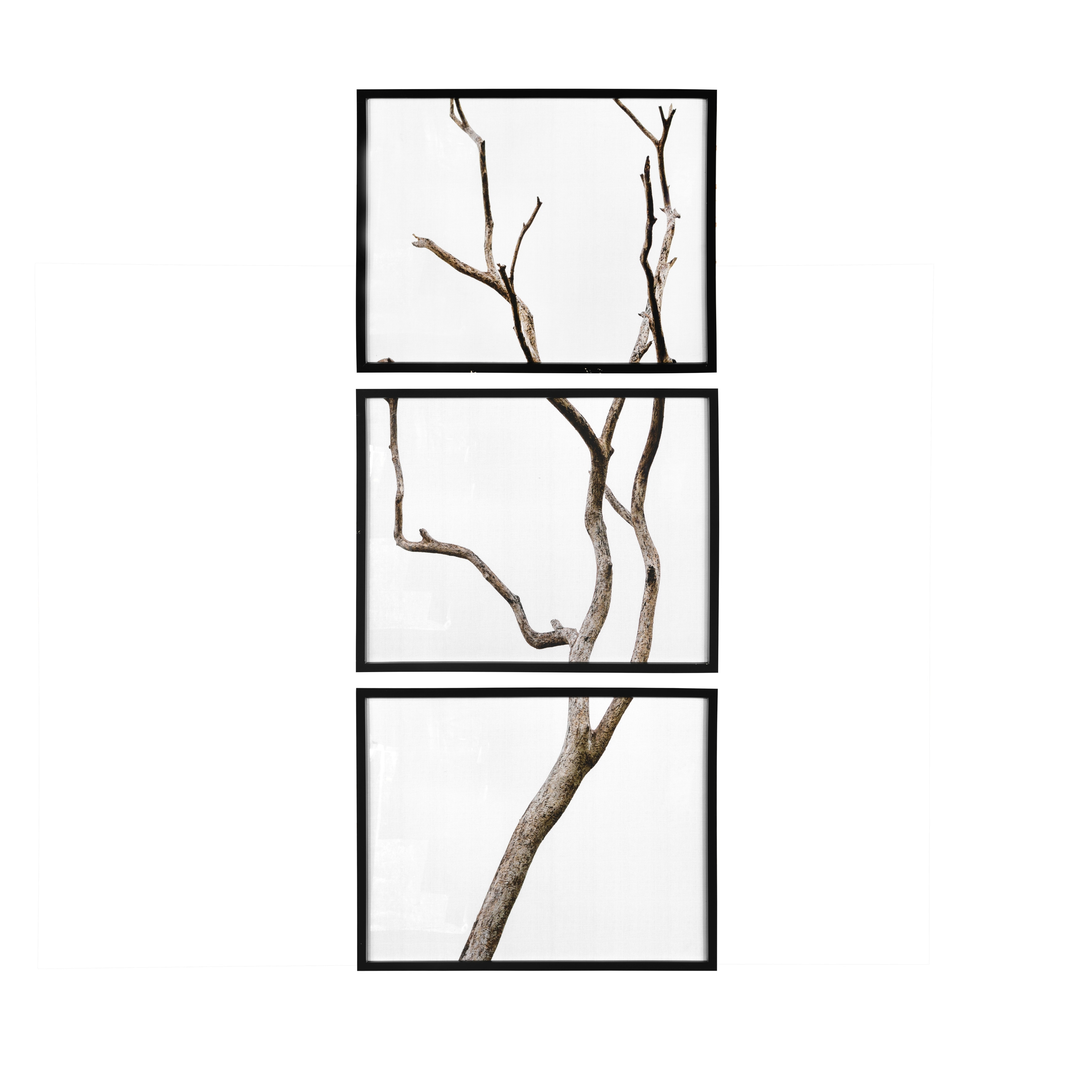 tree branch artwork