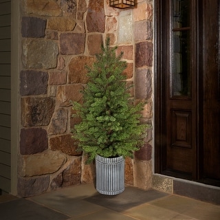57" Pe Potted Spruce Tree In Tin - Bed Bath & Beyond - 41977334