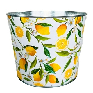Lemon Zest Planter - Bed Bath & Beyond - 42256685