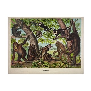 Print Collection 'The Monkeys' Canvas Art - Bed Bath & Beyond - 39535593