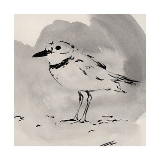Jacob Green 'Inky Plover II' Canvas Art - Bed Bath & Beyond - 39538069