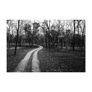 Pench National Park Madhya Pradesh India Photography Art Print/Poster ...