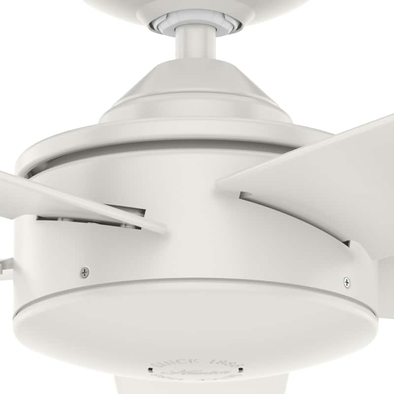 Hunter 52" Shorebreak WeatherMax Indoor / Outdoor Ceiling Fan w/ Wall ...