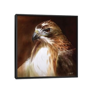 iCanvas "Red Tailed Hawk Portrait" by Steve Goad Framed Canvas Print ...