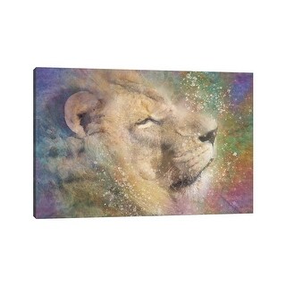 iCanvas "Zen Lion" by Kevin Clifford Canvas Print - Bed Bath & Beyond ...