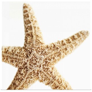 "Star fish, close-up" Poster Print - Multi - Bed Bath & Beyond - 16476181