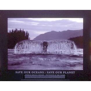 ''Save Our Oceans, Save Our Planet'' by Bob Talbot Photography Art ...