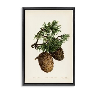 Stupell Cedar Tree Pinecones Framed Floater Canvas Wall Art Design By ...