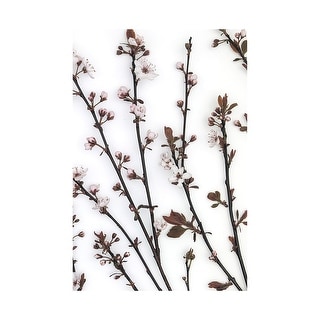Budding Blossom (40 x 60) Canvas Art Print - Bed Bath & Beyond - 39206980