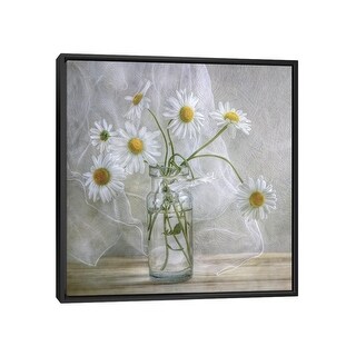 iCanvas "Daisies" by Mandy Disher Framed Canvas Print - Bed Bath ...