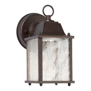 Forte Lighting Single Light 9" Tall LED Outdoor Wall Sconce with Clear ...