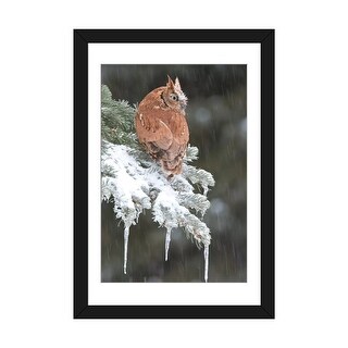 iCanvas "Eastern Screech Owl Red Morph In Winter, Howell Nature Center ...