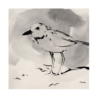 Jacob Green 'Inky Plover IV' Canvas Art - Bed Bath & Beyond - 39539546