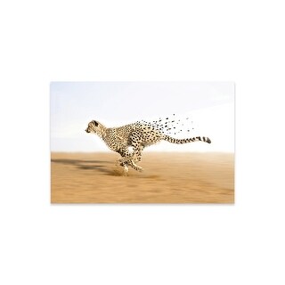 Beyond Limits Print On Acrylic Glass by en.ps - Bed Bath & Beyond ...