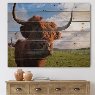Designart 'Portrait Of A Yak' Farmhouse Print on Natural Pine Wood ...