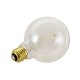 Aspen Creative G30 Vintage Edison Filament Light Bulb, 60 Watt Medium ...