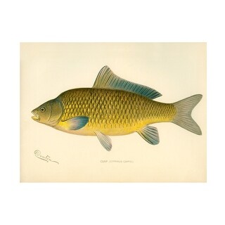 Print Collection 'Carp' Canvas Art - Bed Bath & Beyond - 39535520